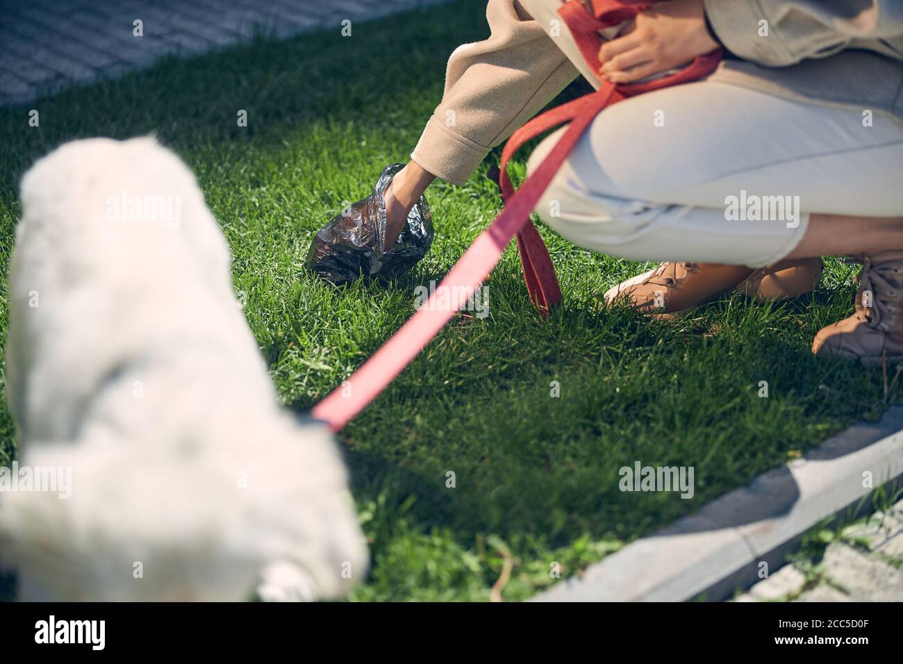 Female cleaning up after her pet outside Stock Photo - Alamy