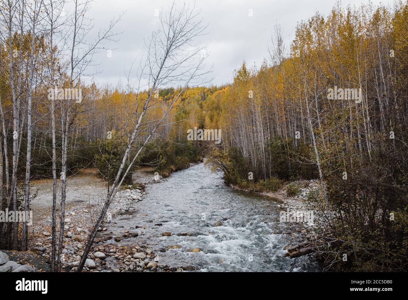 Mountain river in autumn landscape Alaska Stock Photo - Alamy