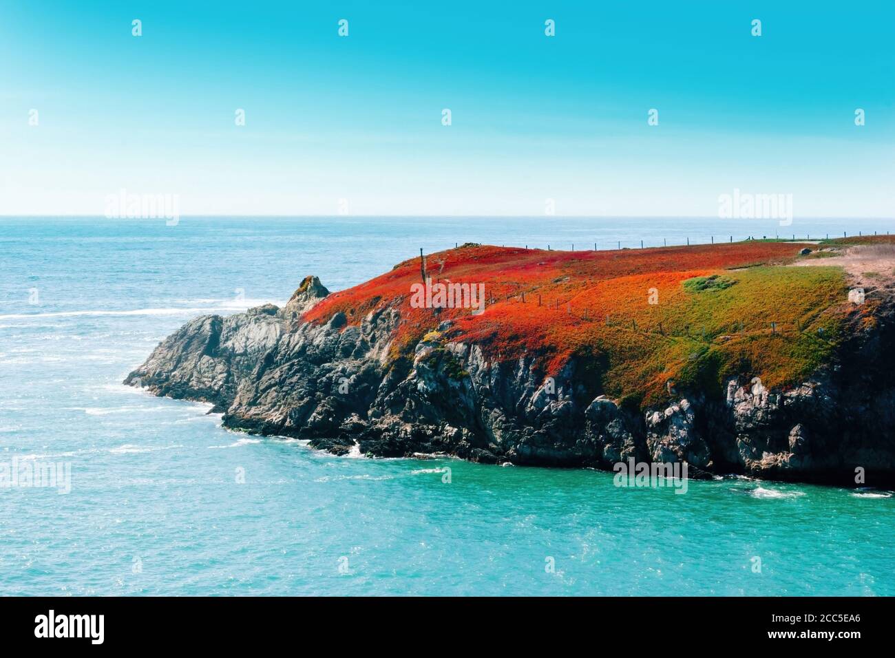 Fire red vegetation on a rock at the pacific ocean, California Stock ...