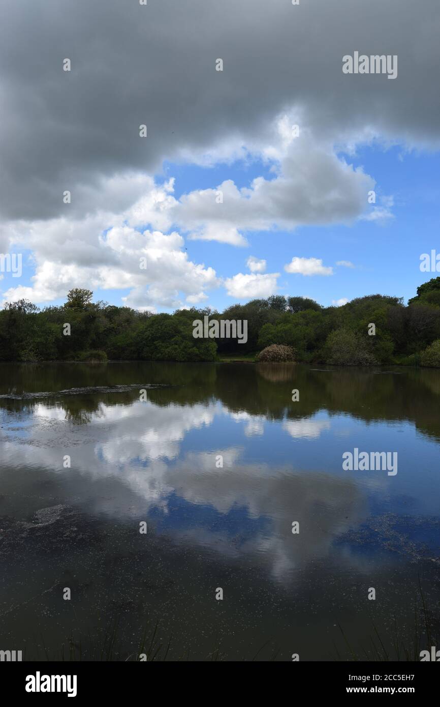 Sky clouds reflecting in water hi-res stock photography and images - Alamy