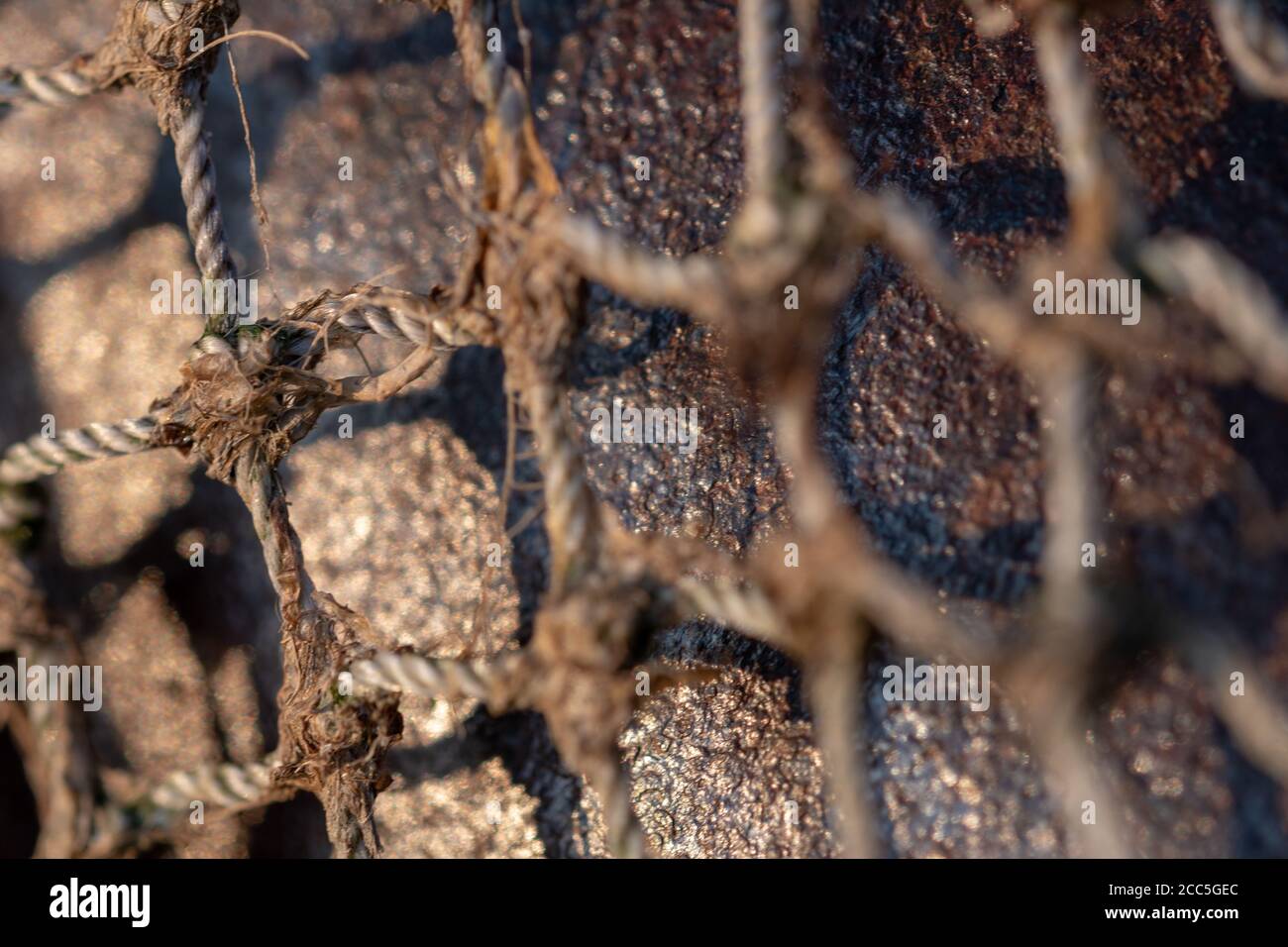 Worn netting hi-res stock photography and images - Alamy