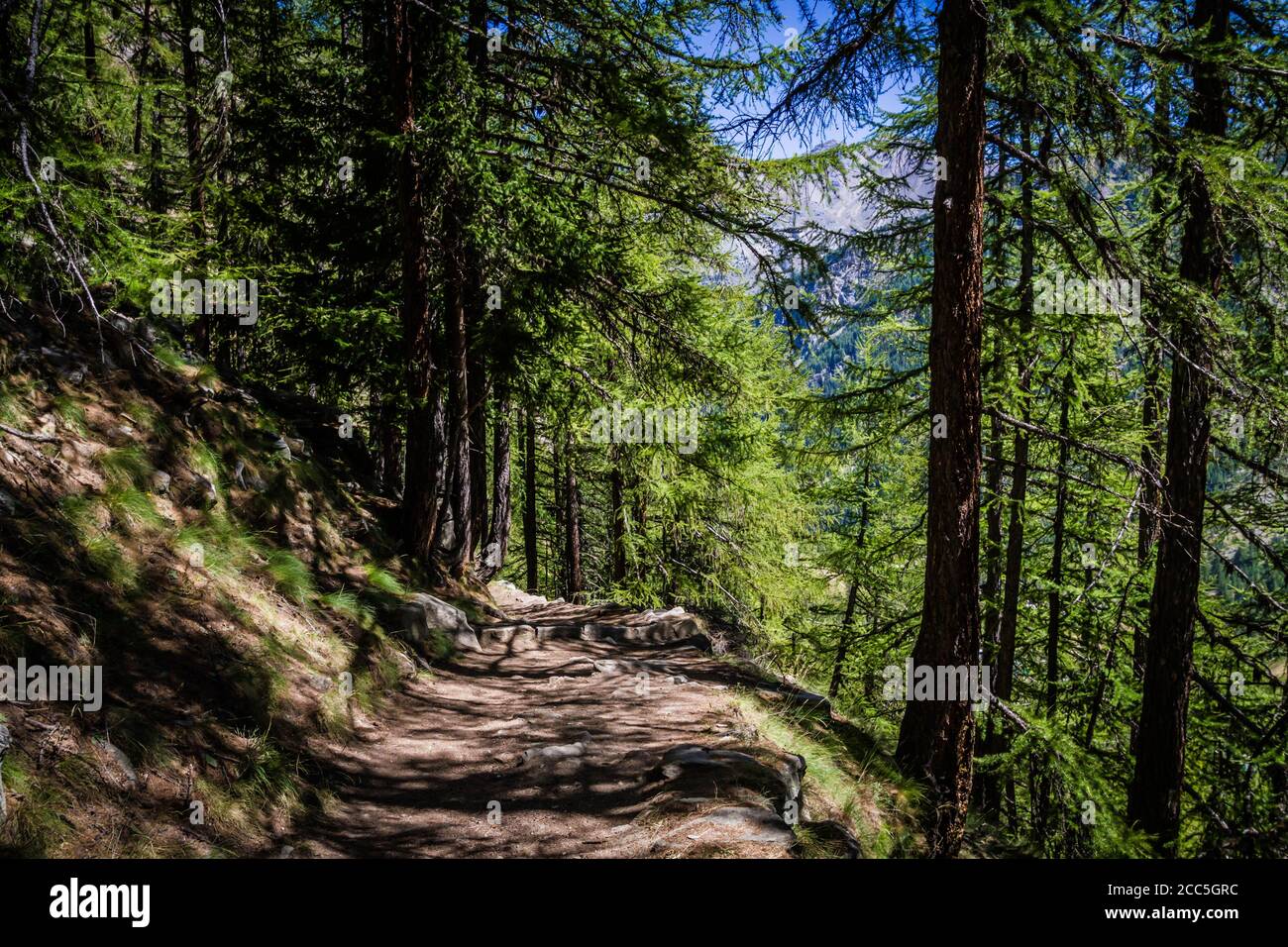 Panoramic hiking trail hi-res stock photography and images - Alamy