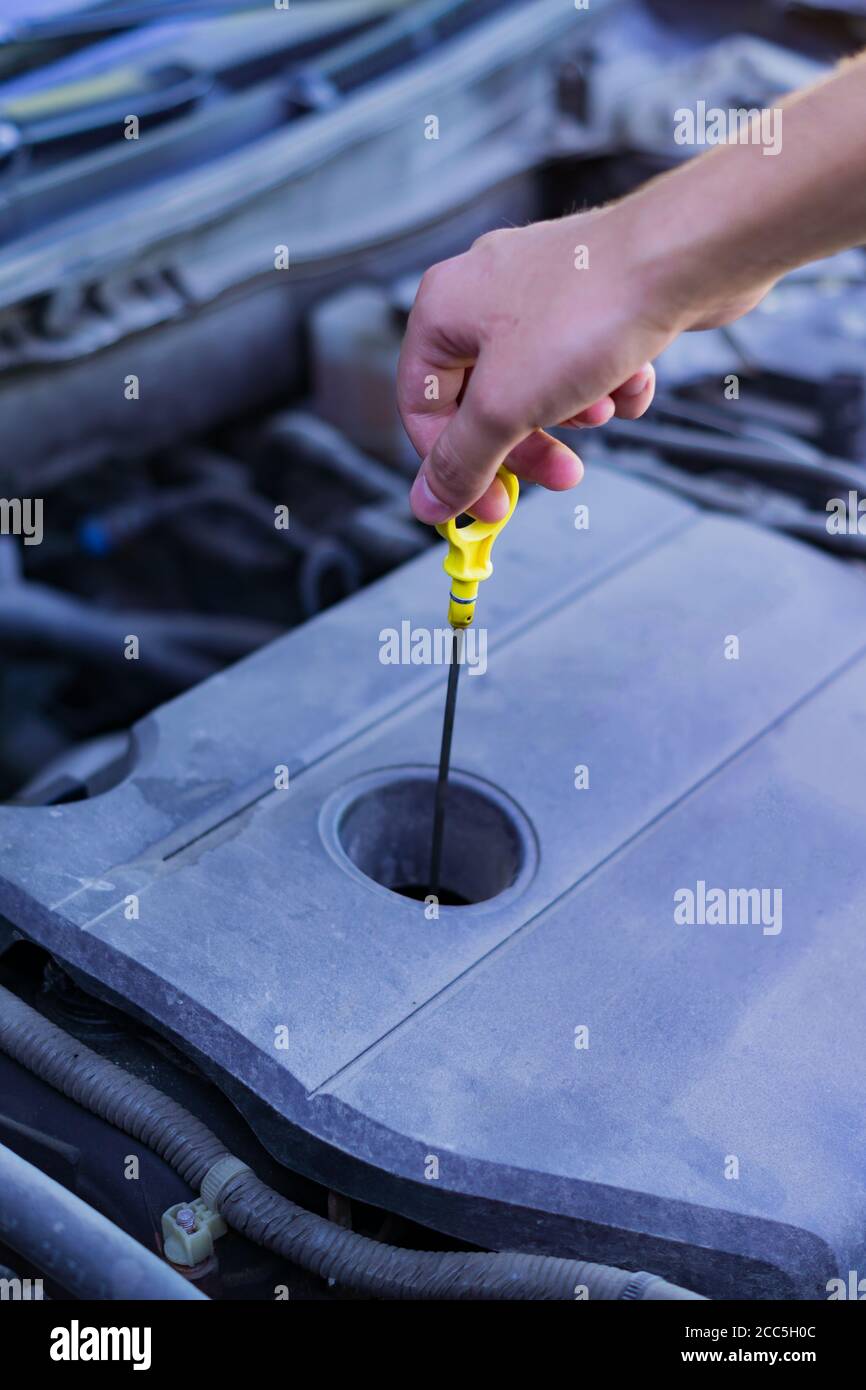 Mechanic checking and fixing a dipstick to check the oil level in car ...