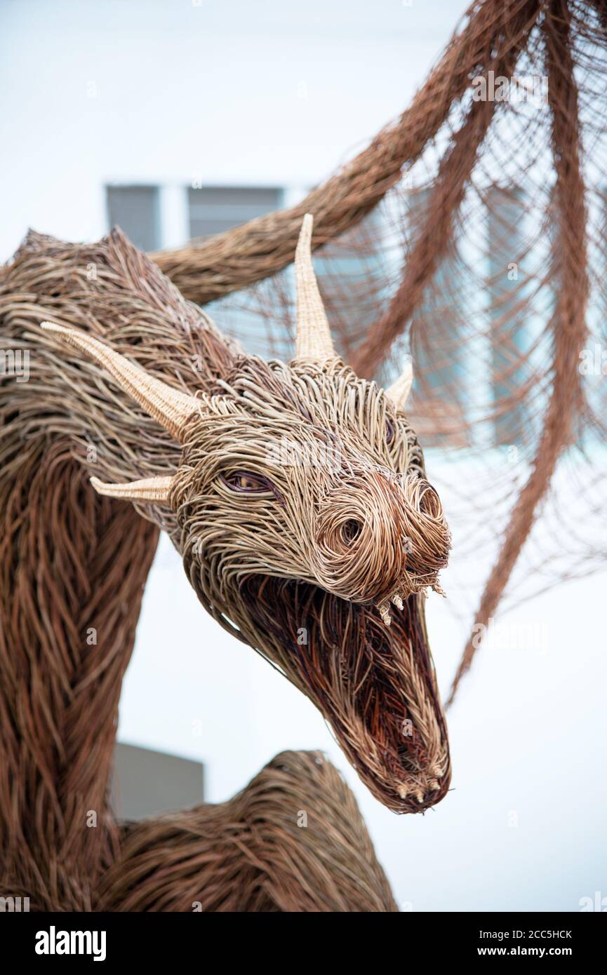 Battling Wicker Dragon Sculptures at the Ulster Museum in Belfast, UK ...