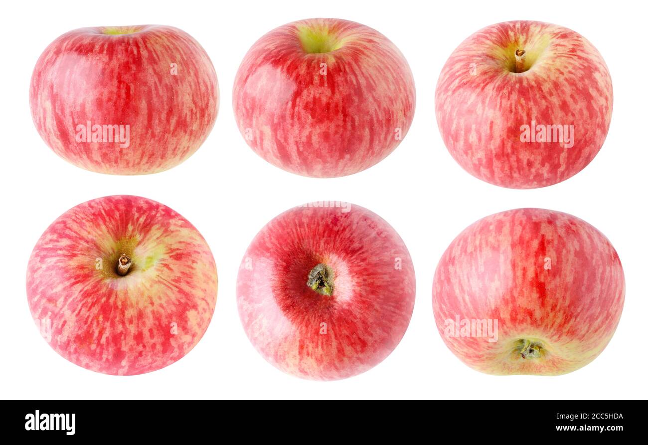 Isolated red apples. Collection of whole red striped apple fruits at ...