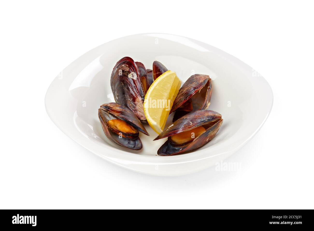 Cooked mussels in shells isolated on white Stock Photo - Alamy