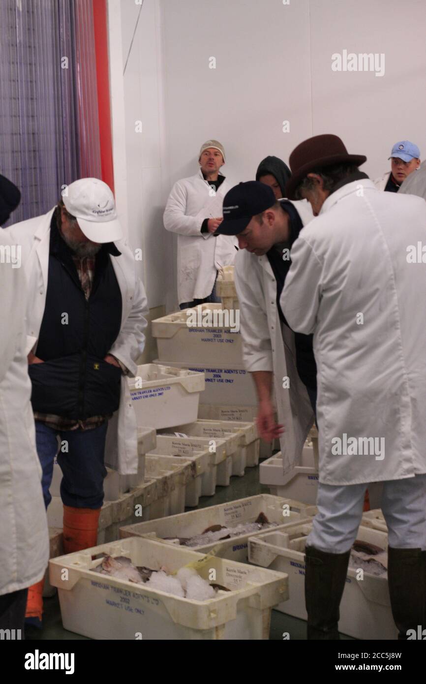Fish auction port hi-res stock photography and images - Alamy