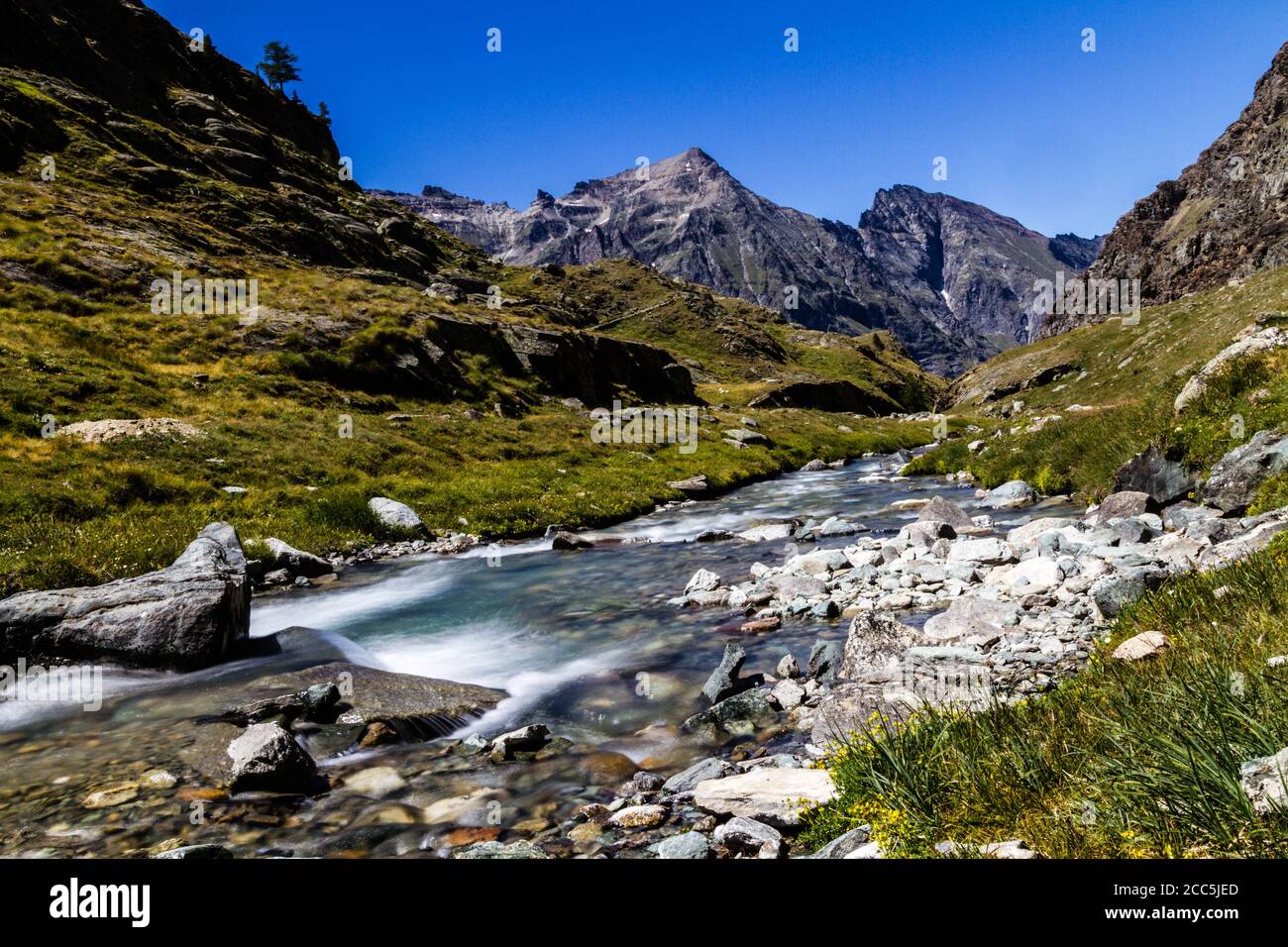 Green valley in the Alps with crystal clear river flowing Stock Photo ...