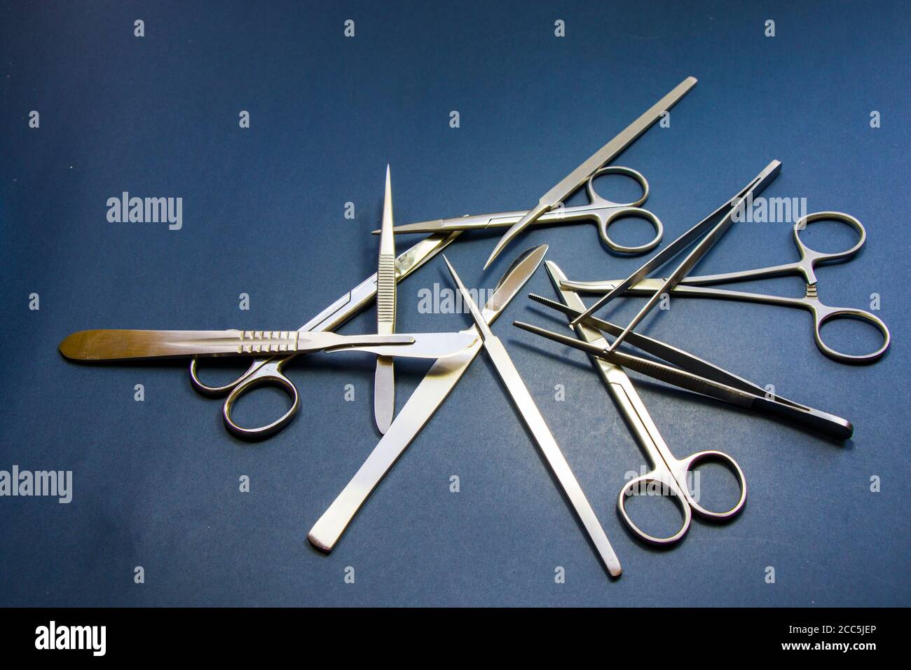 Biology Dissection Tools at Patrice Hassinger blog