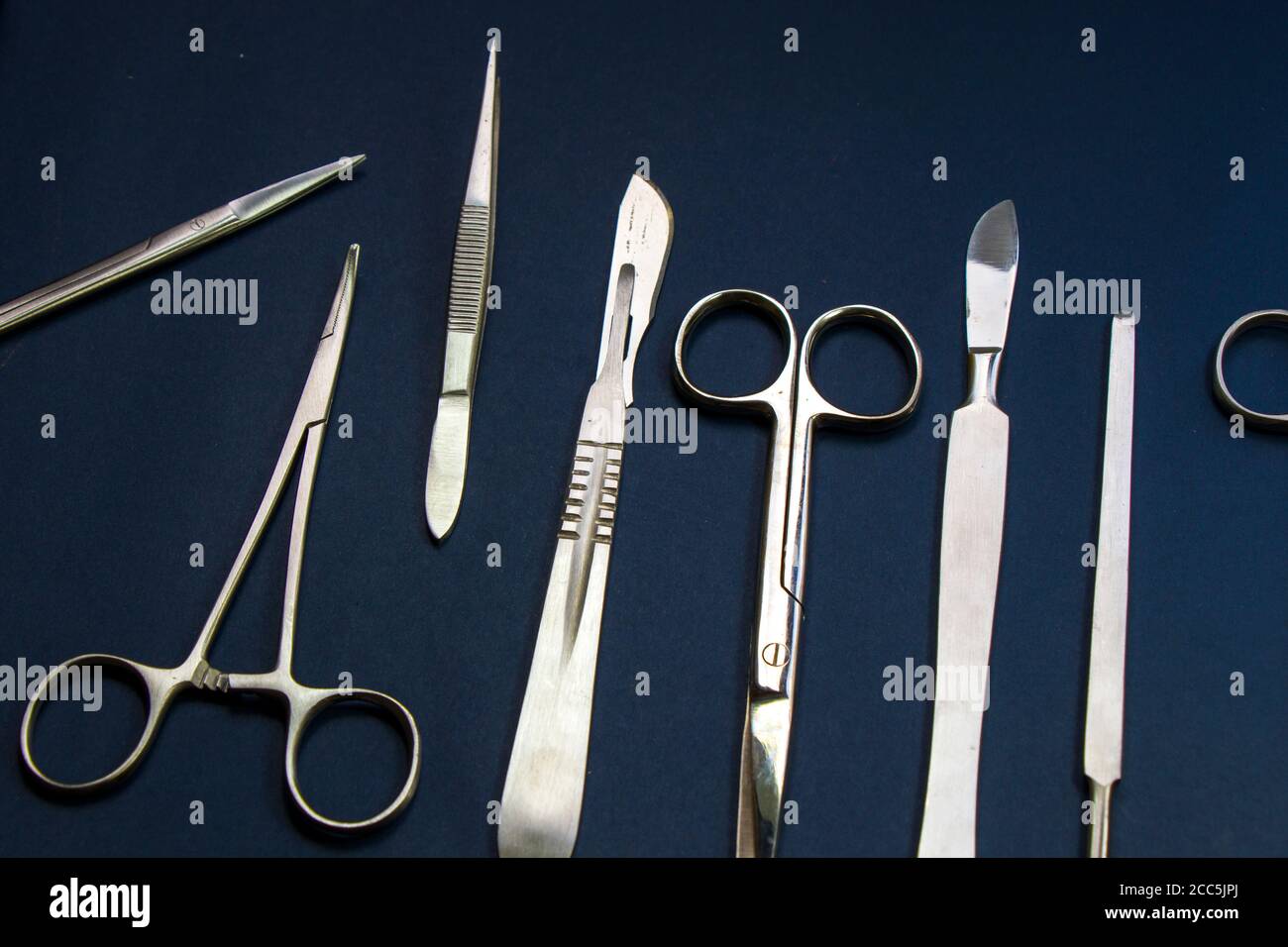 Marine Biologist Tools