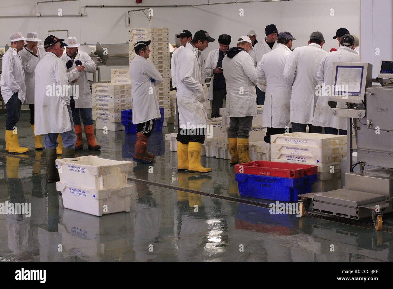Wholesale fish market and auction, Brixham, Devon, UK Stock Photo - Alamy