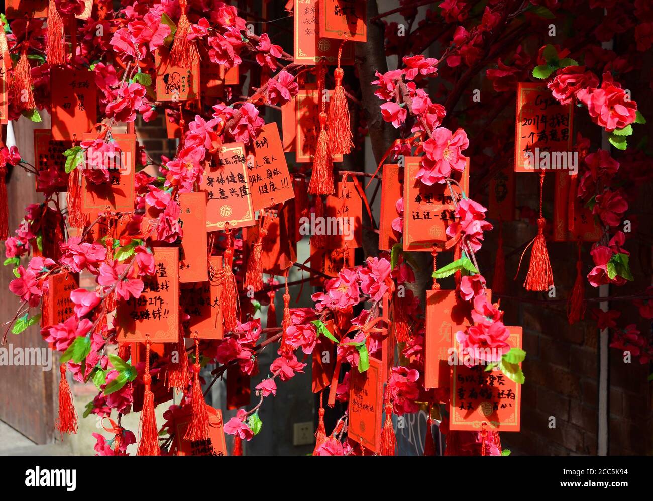 Chinese lacquer tree hi-res stock photography and images - Alamy