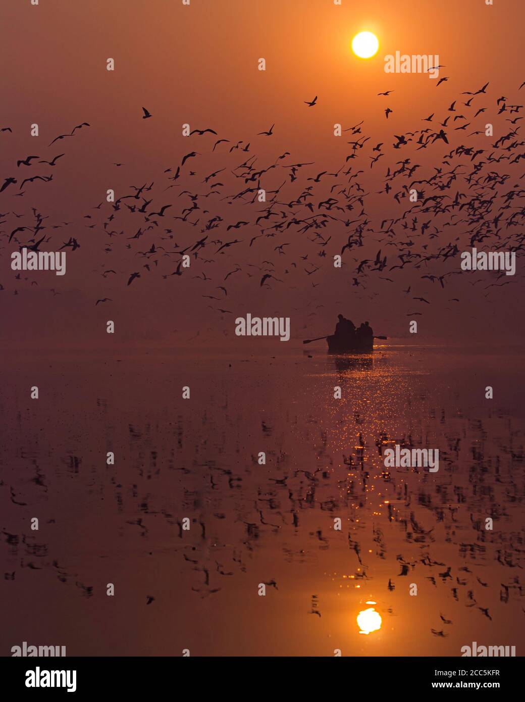 Mirror World- The reflection of the birds on the still water blended ...