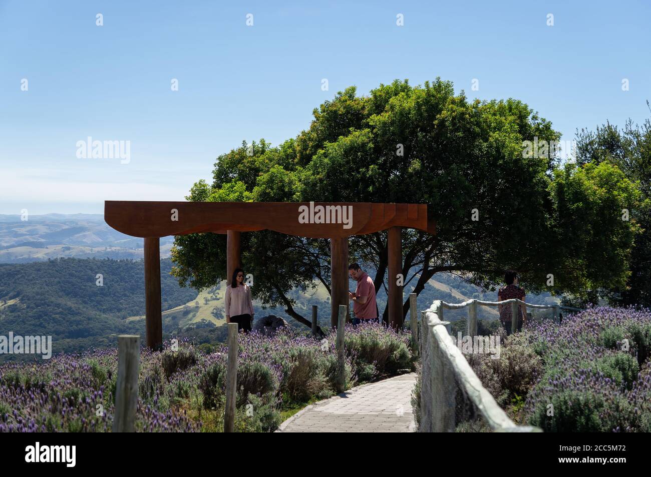 The observation deck area in the middle of the lavender fields inside ...