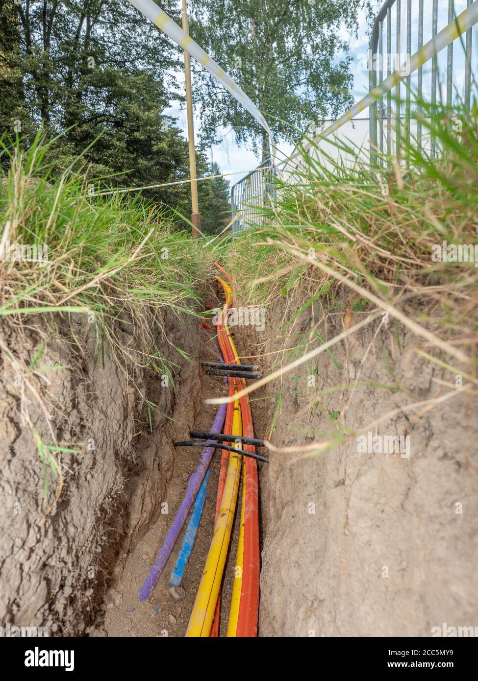 Fiber optic grass hi-res stock photography and images - Alamy