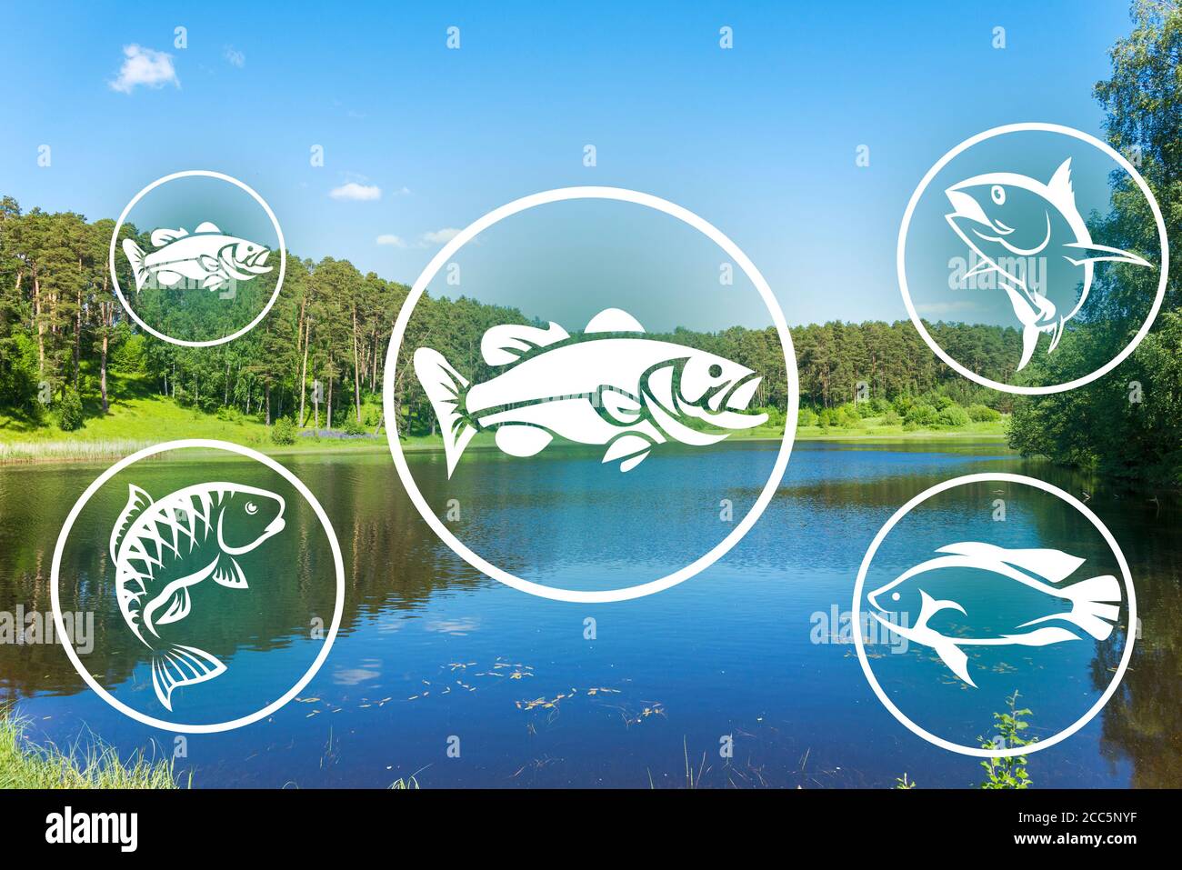 Leaf fish icon hi-res stock photography and images - Alamy