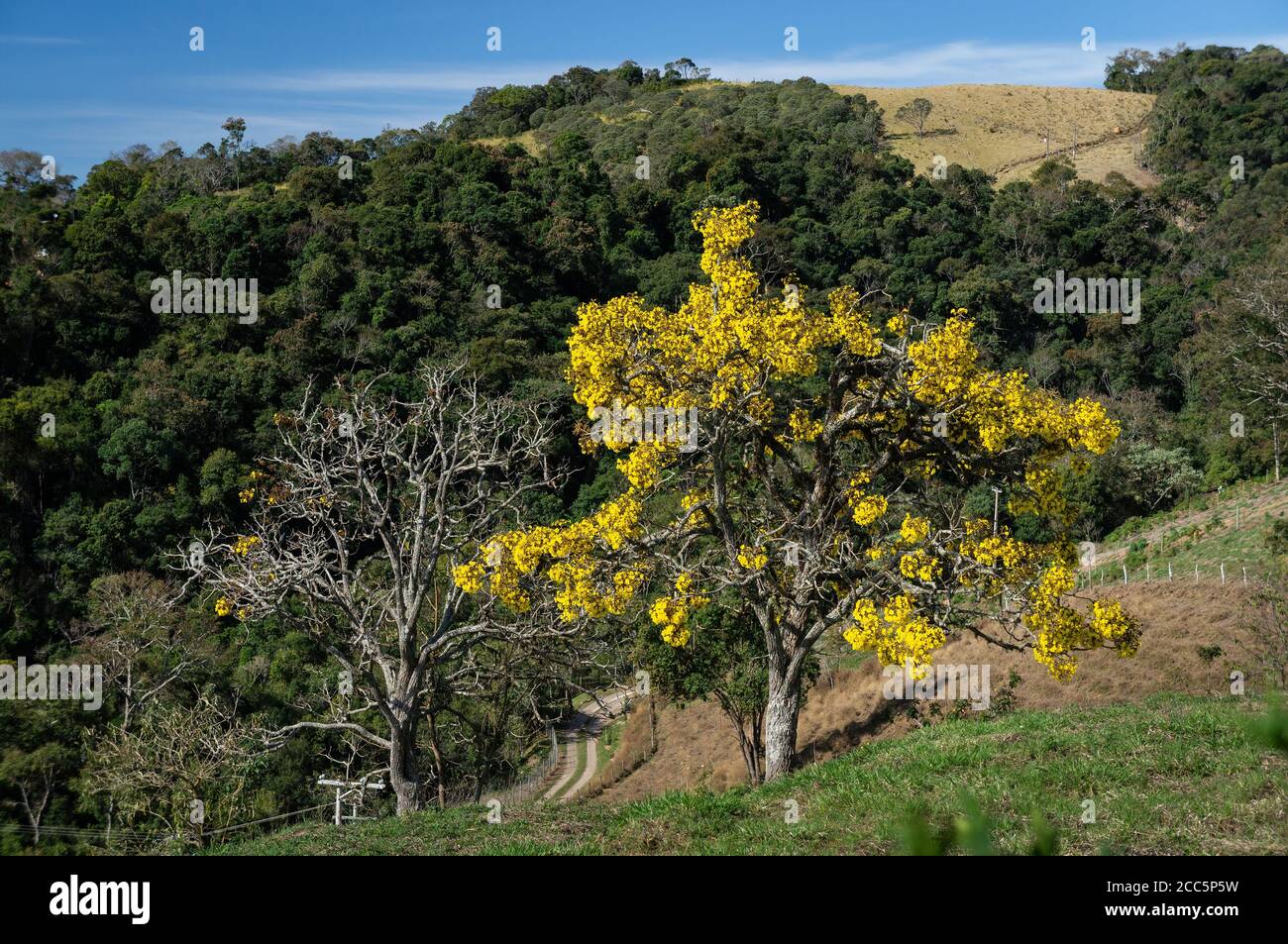 Saw gate hi-res stock photography and images - Alamy