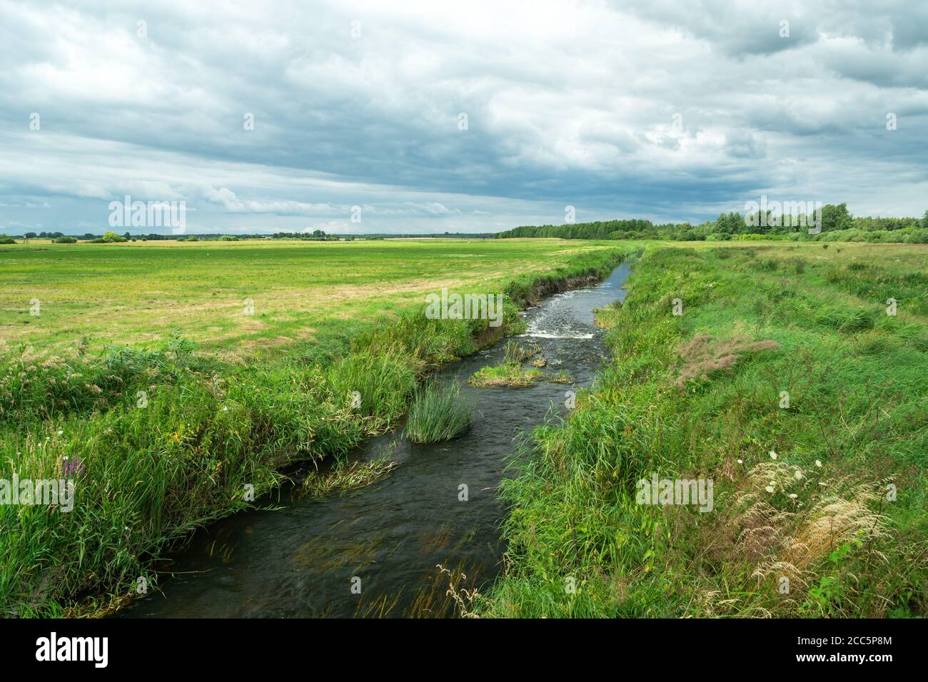 Grassy River Bank High Resolution Stock Photography and Images - Alamy