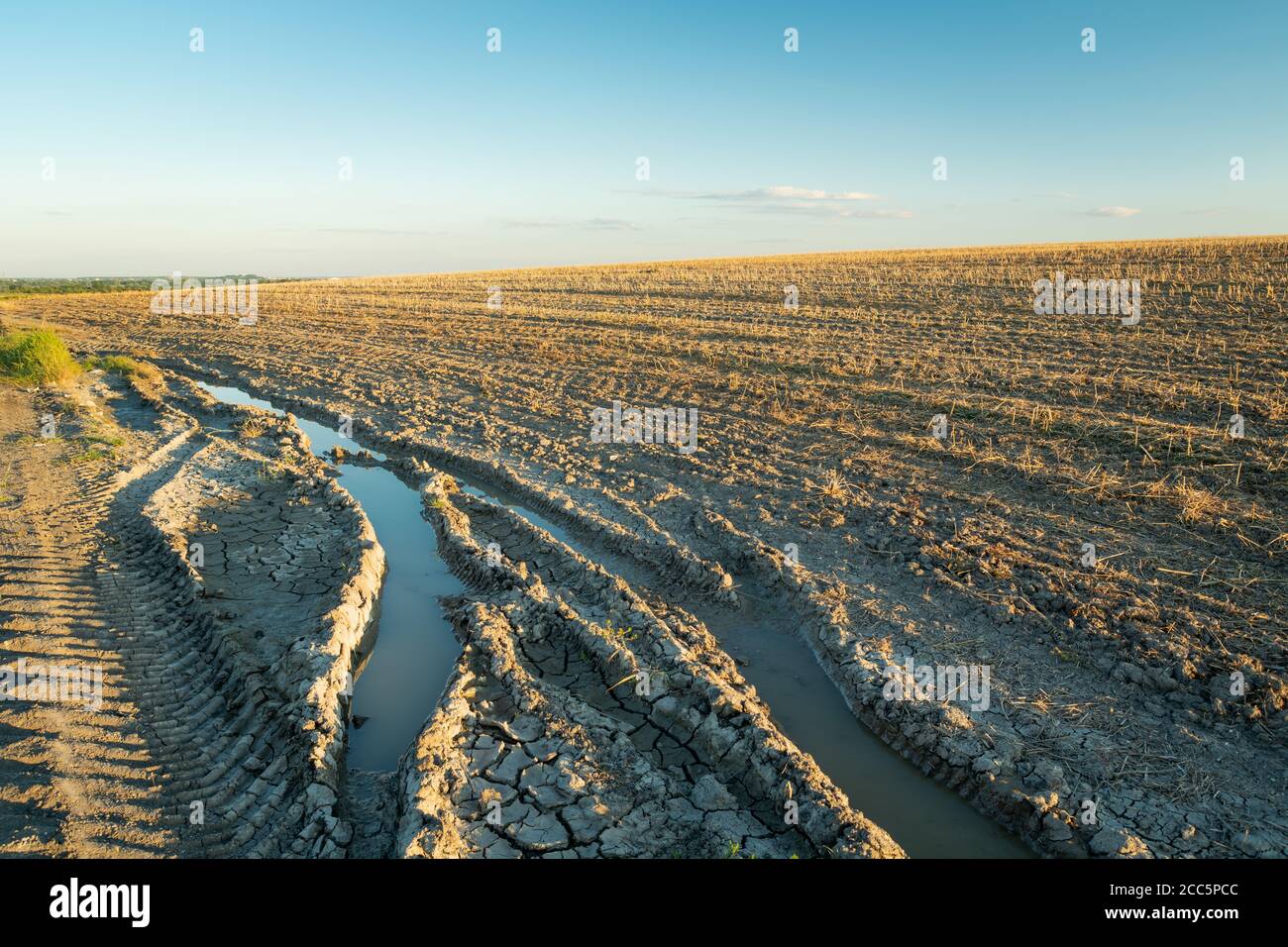 Water and mud in field hi-res stock photography and images - Alamy