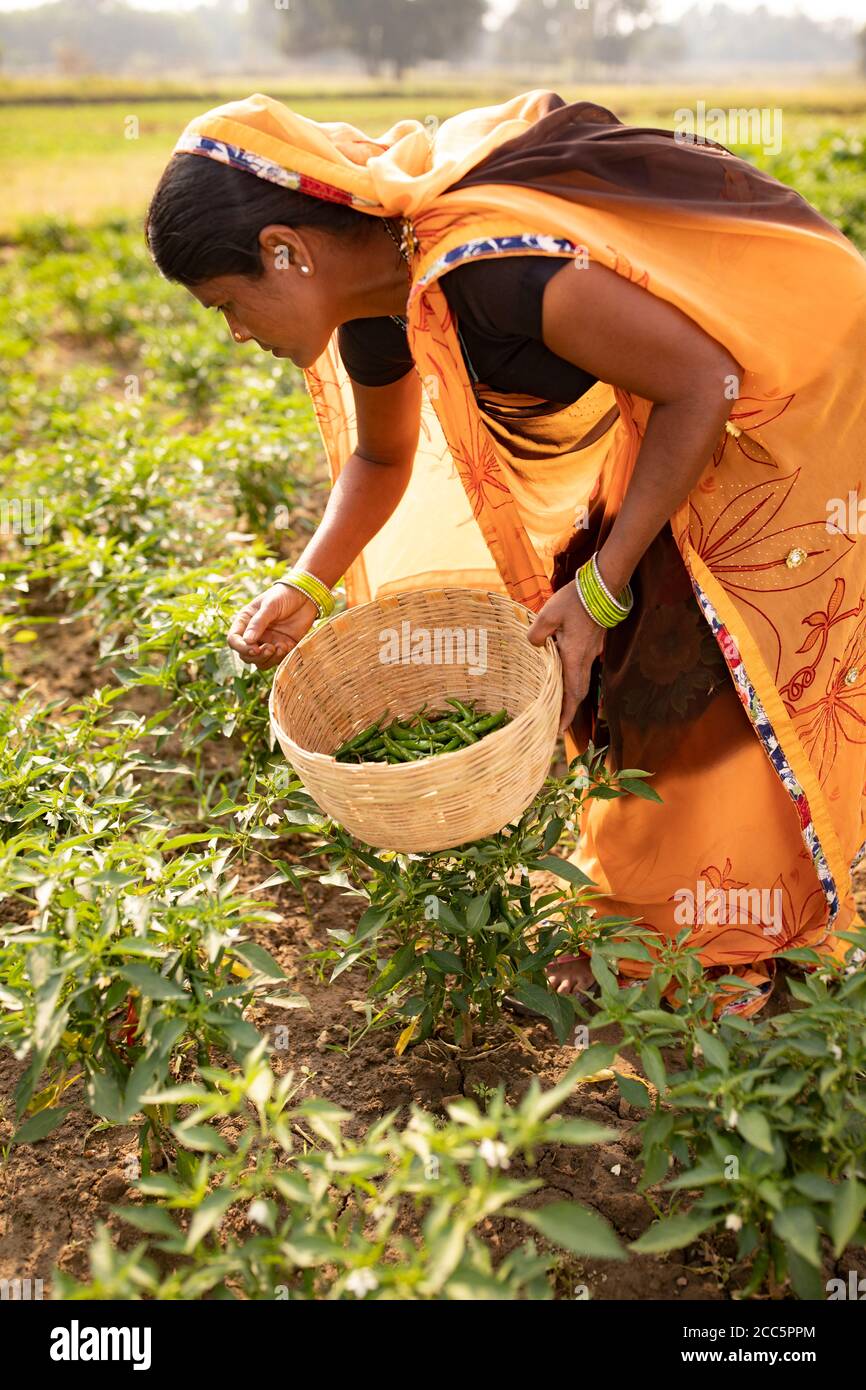 Indian farm women hi-res stock photography and images - Alamy