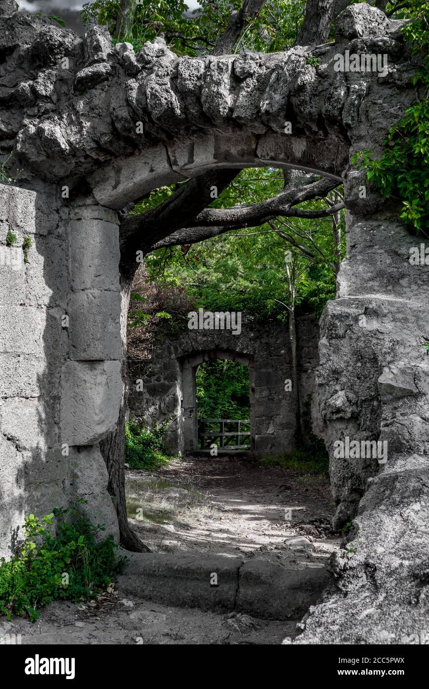 Mystic Door Of Decayed Building Overgrown By A Gnarly Tree Stock Photo ...