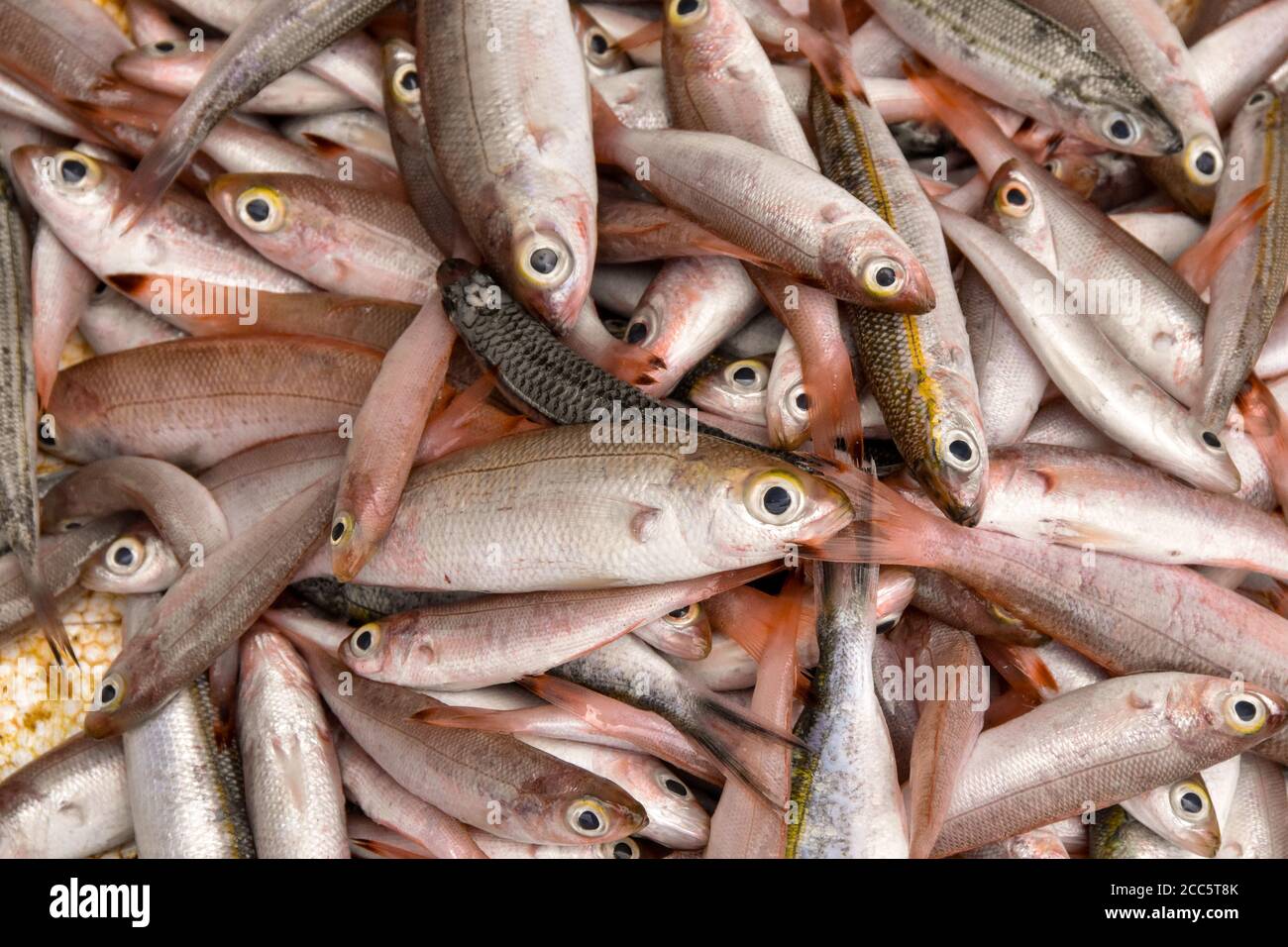 A collection of fish in the morning fish market in Asia Stock Photo - Alamy