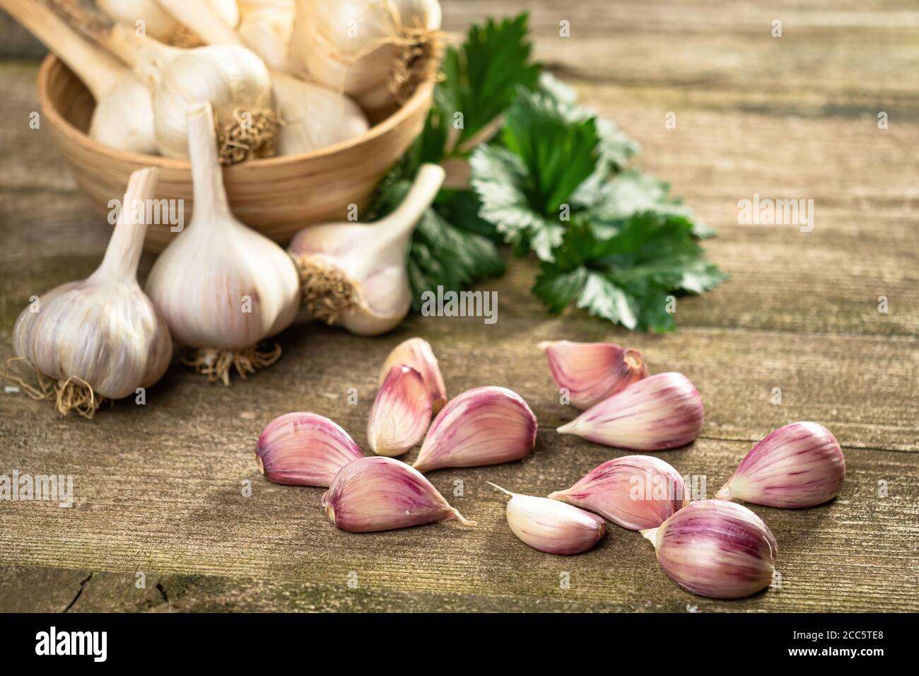 Fresh ripe garlic cloves and bulbs and celery leaves in bowl and ...