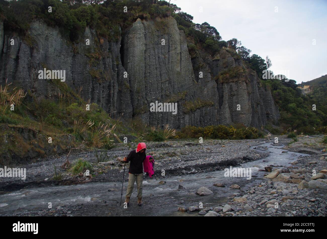 Te Araroa Trail route. Cape Palliser. North Island. New Zealand Stock ...