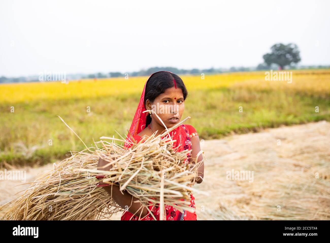 Bushel Of Rice High Resolution Stock Photography and Images - Alamy