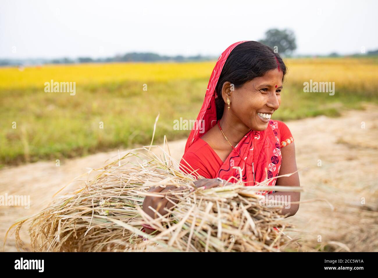 South east india grain harvest hi-res stock photography and images - Alamy
