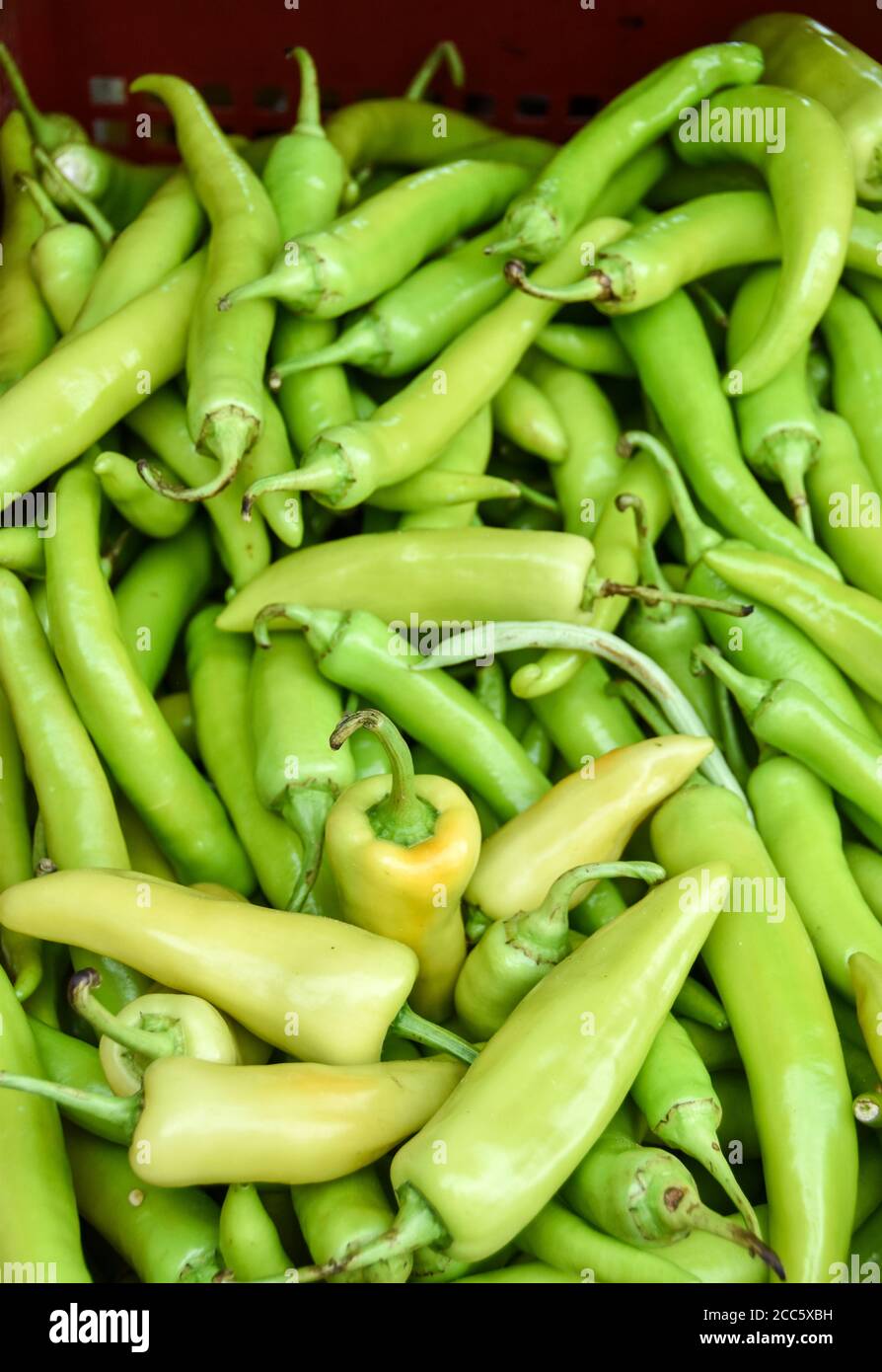 Green jalapenos sliced isolated hi-res stock photography and images - Alamy