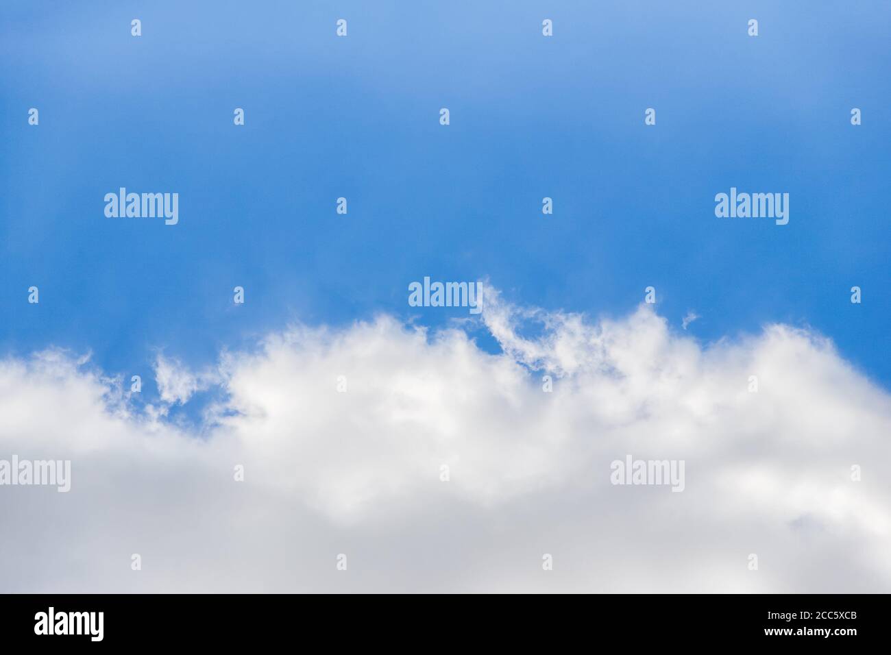 Clear blue sky and big beautiful white cloud.Half of the blue sky, half ...