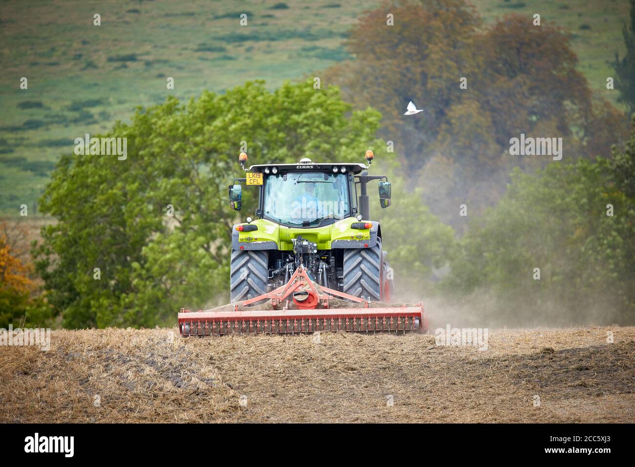 Claas tractor harvesting in UK Stock Photo - Alamy