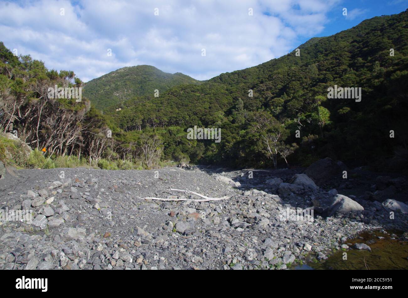 Aorangi Crossing Te Araroa Trail route. Aorangi Range. Cape Palliser ...