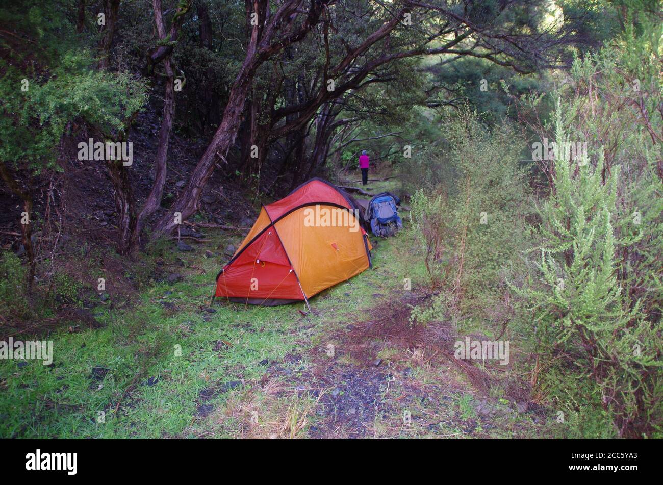 Aorangi Crossing Te Araroa Trail route. Aorangi Range. Cape Palliser ...