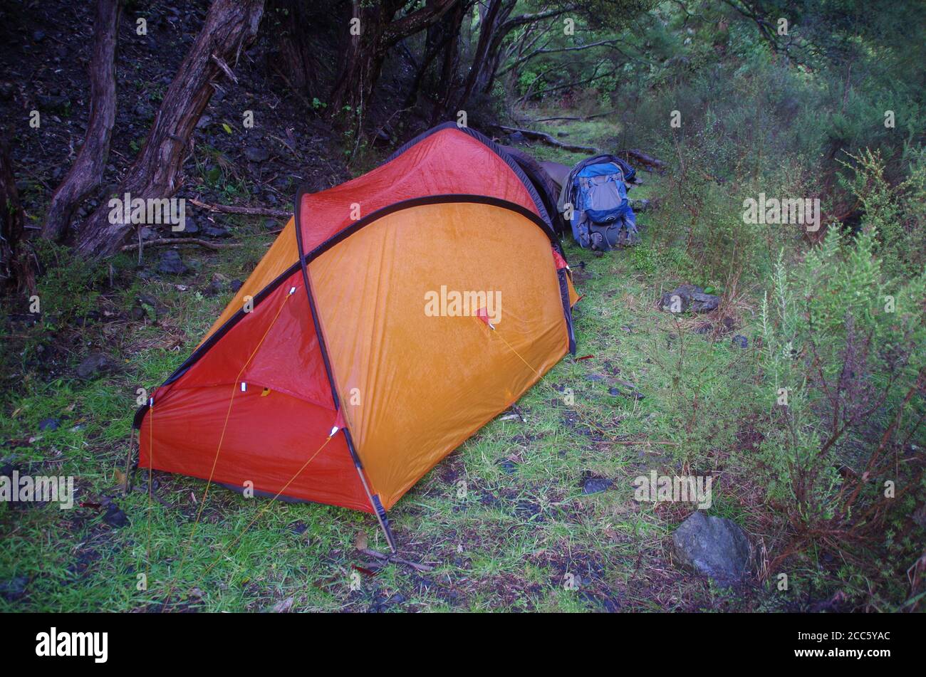Aorangi Crossing Te Araroa Trail route. Aorangi Range. Cape Palliser ...