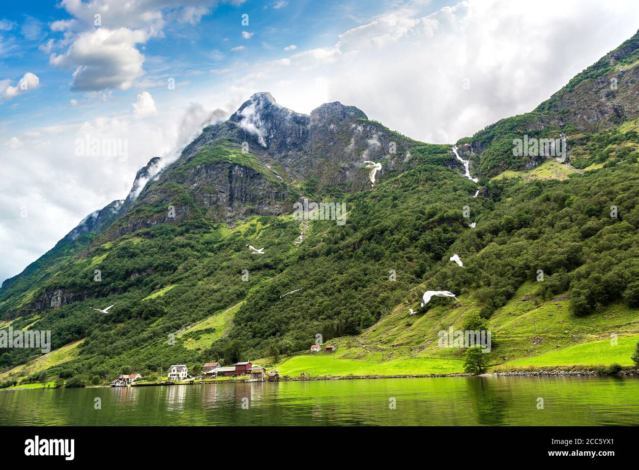 Sognefjord in Norway. Country landscape in a summer day Stock Photo - Alamy