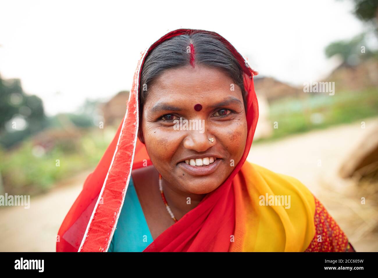 Portrait of a beautiful woman wearing a traditional, colorful sari ...