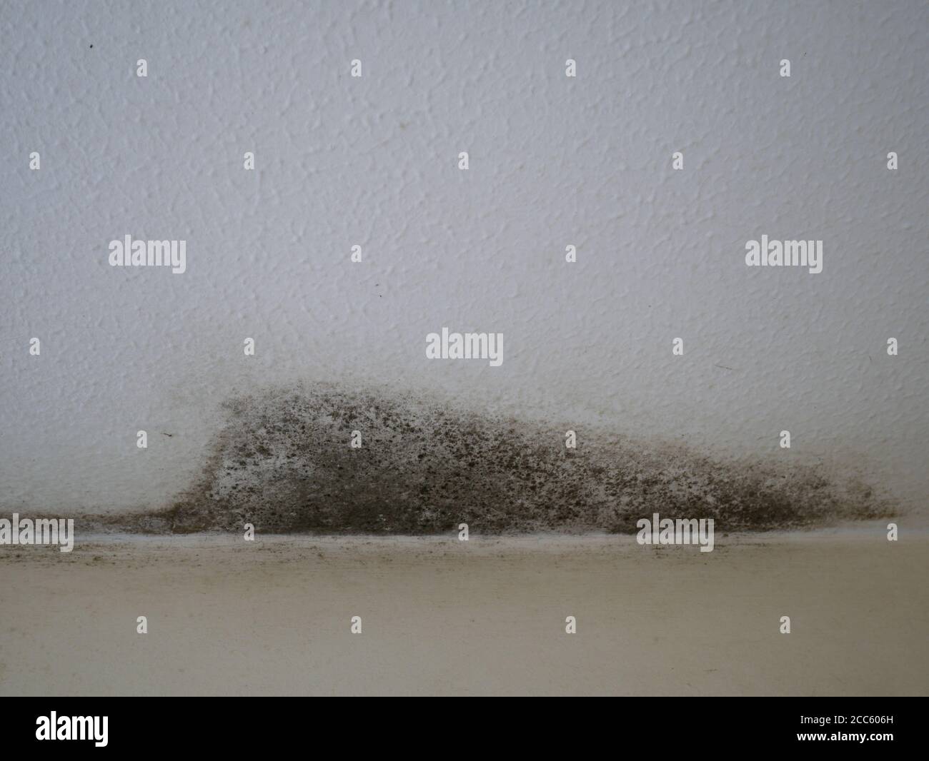 Mould growing on ceiling in residential property Stock Photo - Alamy