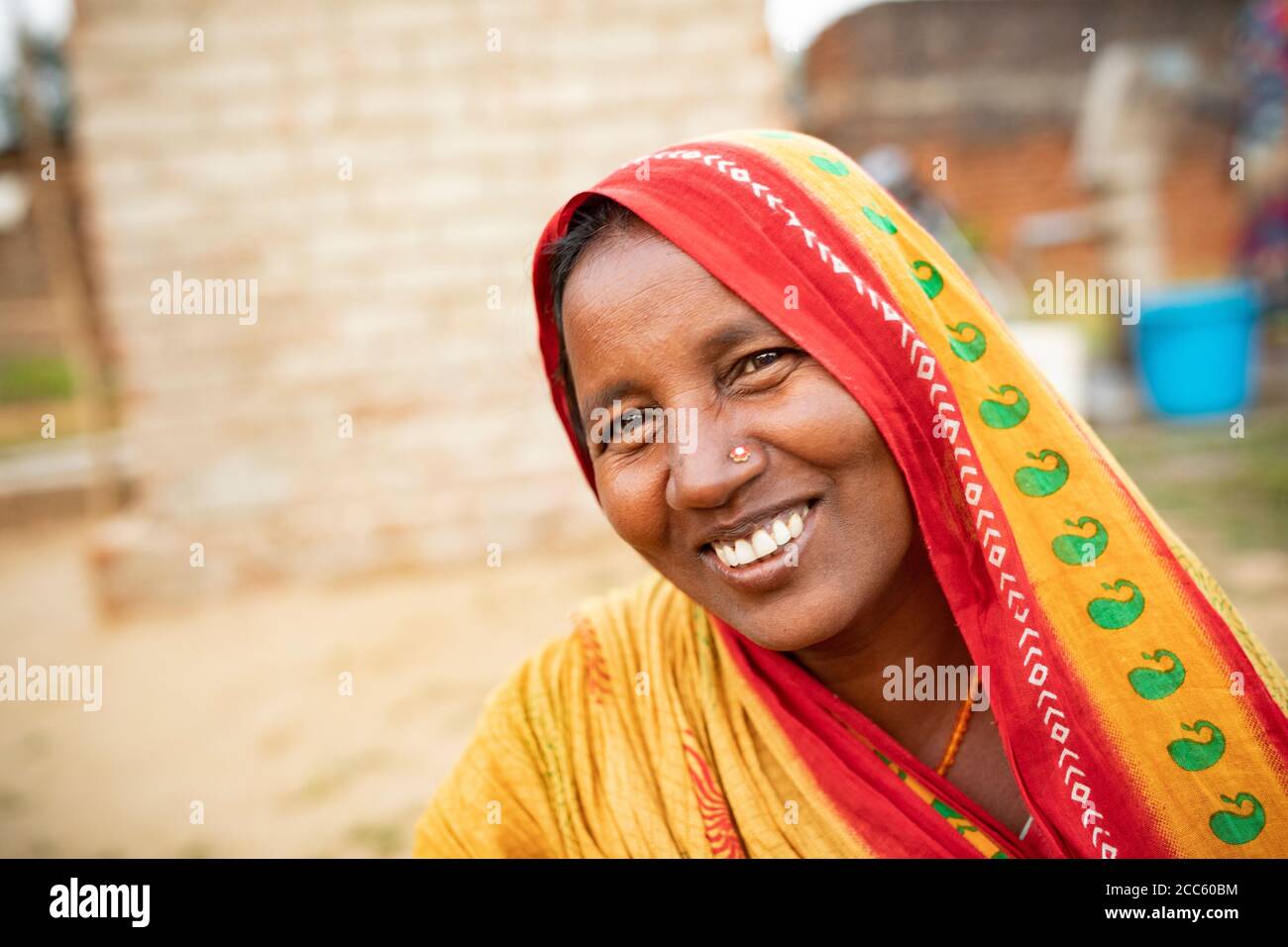 Portrait of a beautiful woman wearing a traditional, colorful sari ...