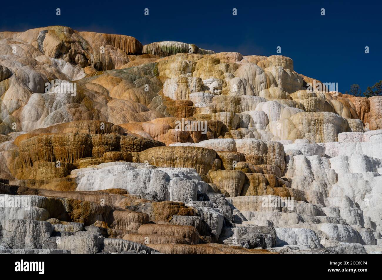 Travertine terraces of Mammoth Hot Springs area of Yellowstone National ...