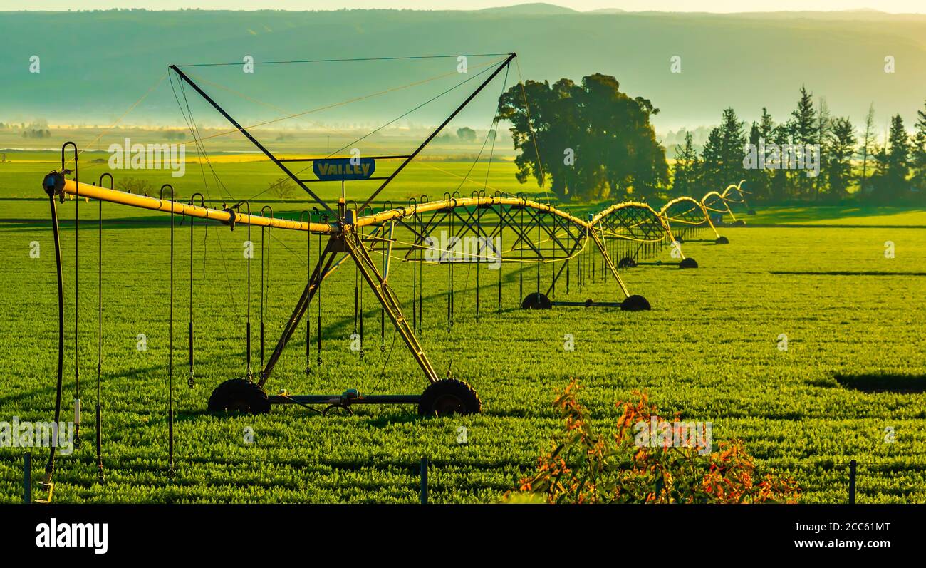 Computerized watering hi-res stock photography and images - Alamy