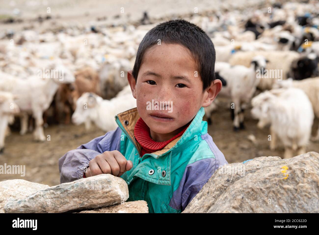 Ladakh people hi-res stock photography and images - Alamy