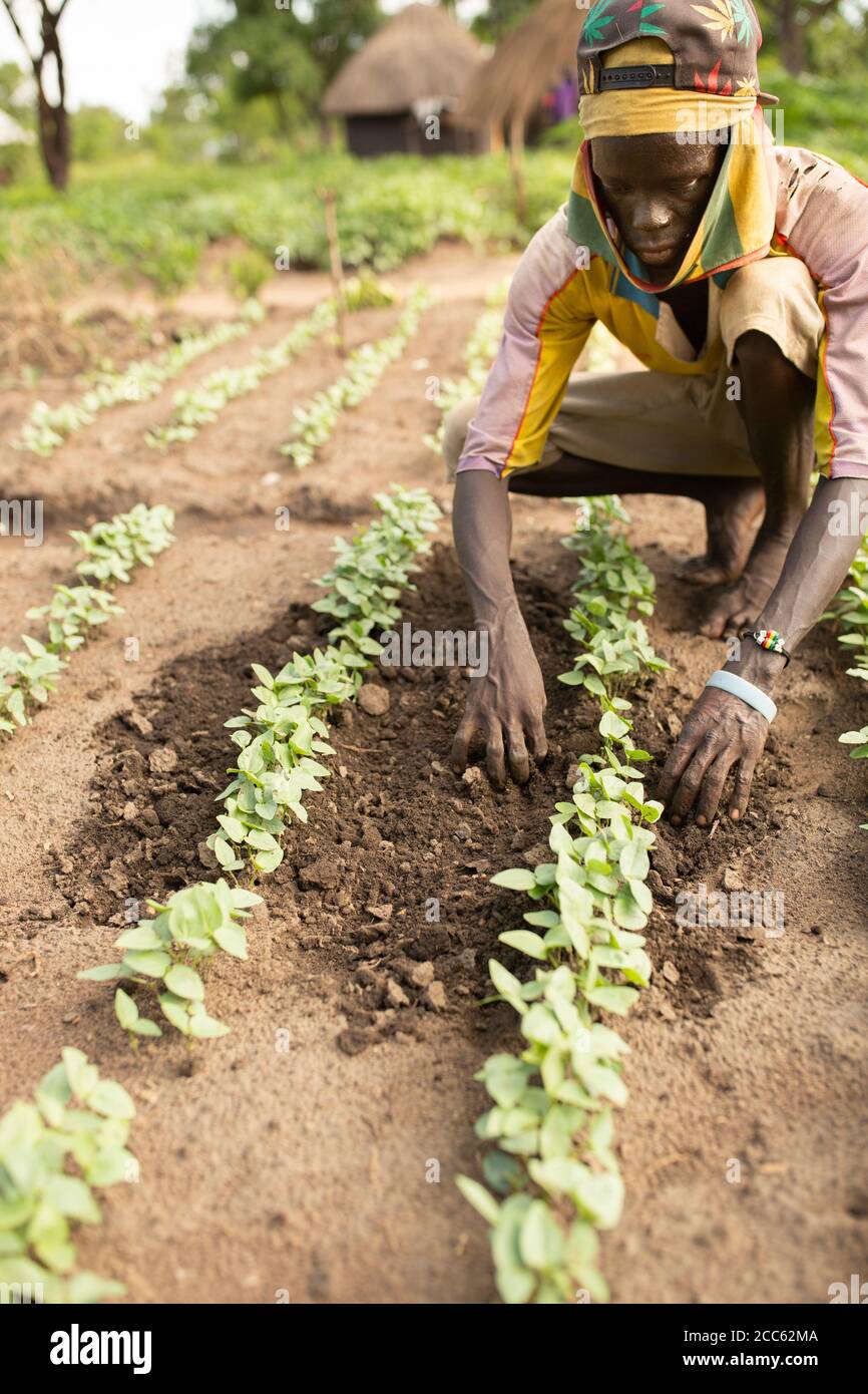 Rural settlement south africa hi-res stock photography and images - Alamy