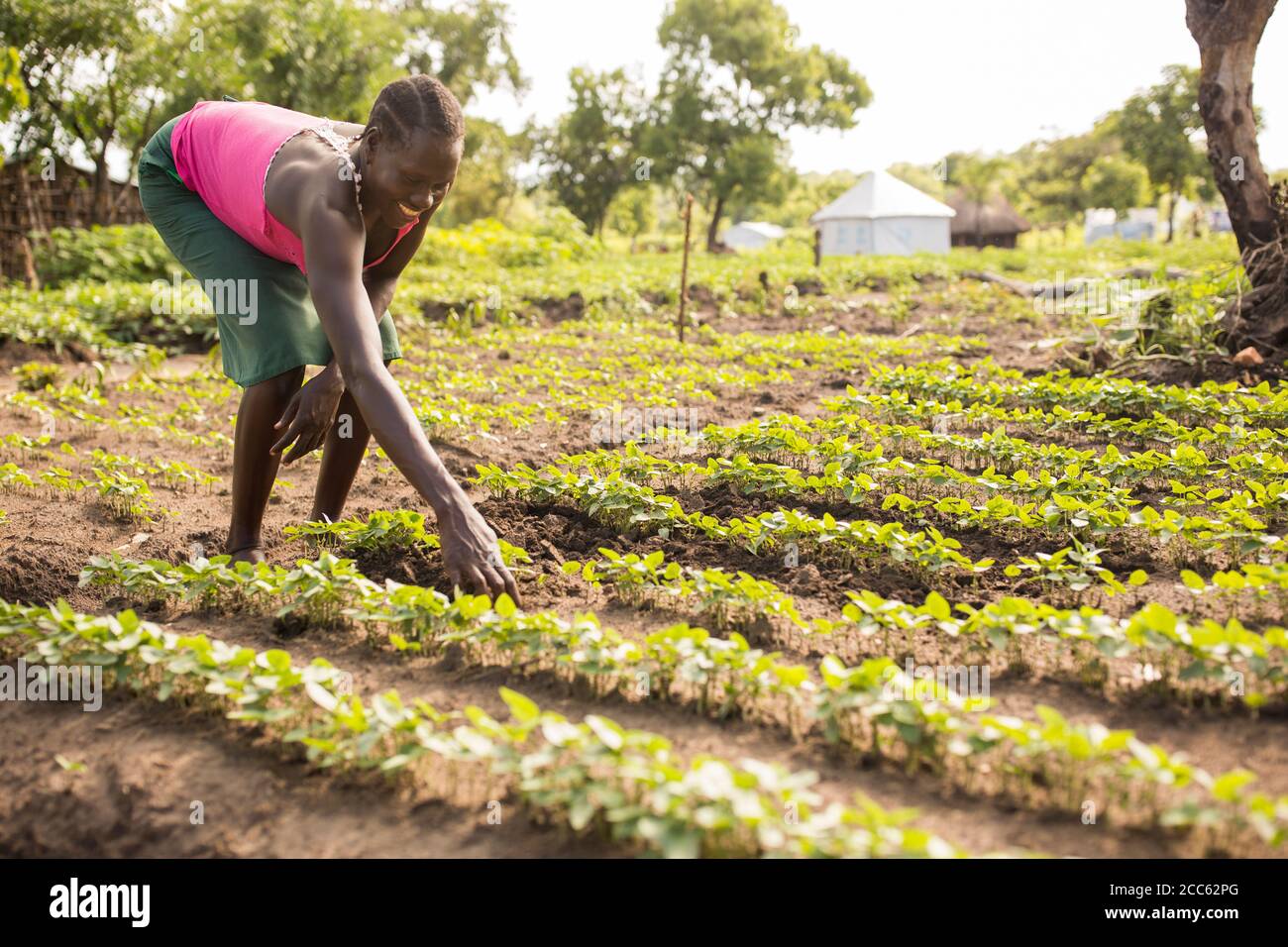 Farmer crop sudan hi-res stock photography and images - Alamy