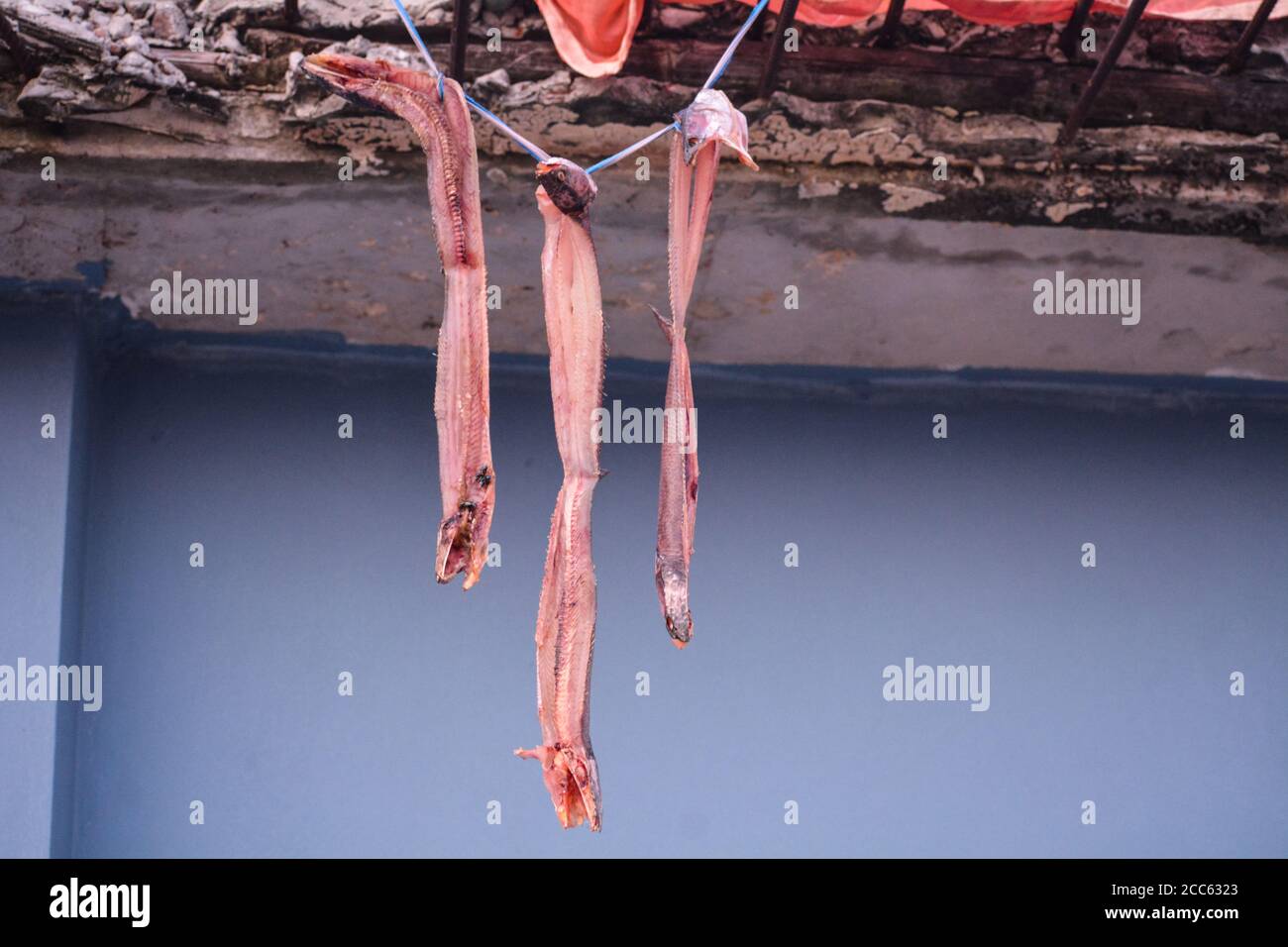 Costa rica and bangladesh hi-res stock photography and images - Alamy