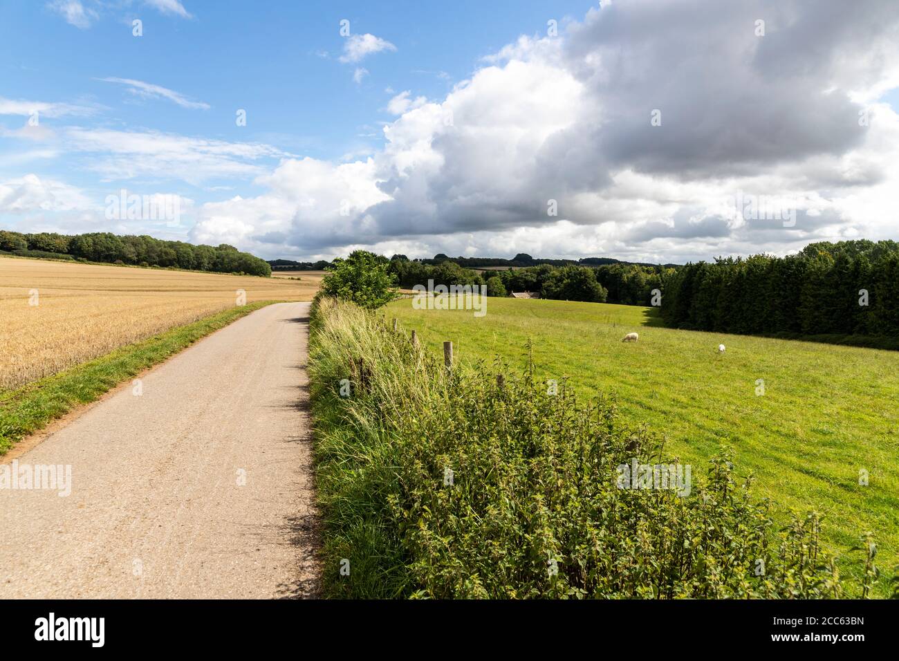 A quiet Cotswold lane near the village of Shipton Oliffe ...