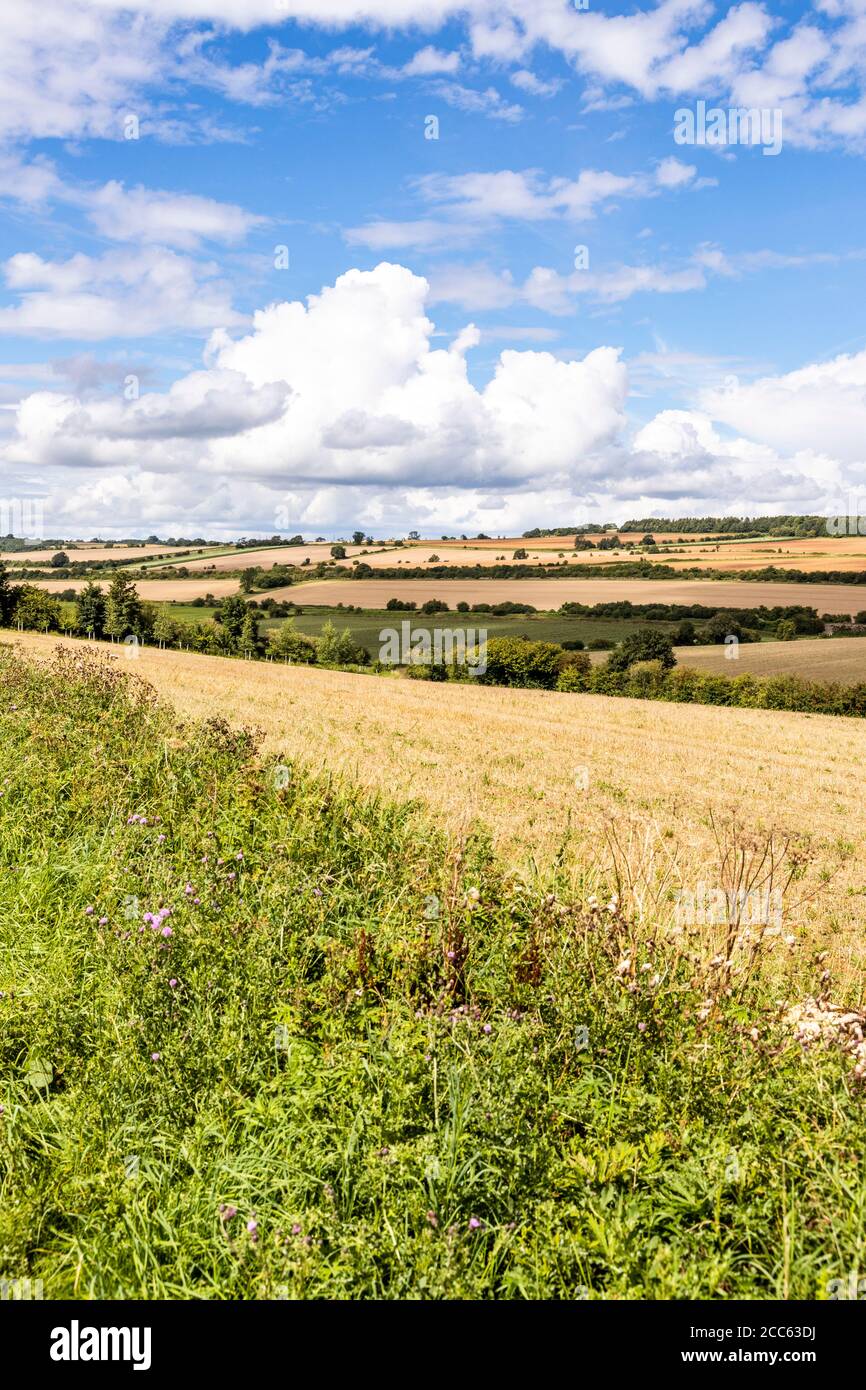 Cotswold landscape hi-res stock photography and images - Alamy