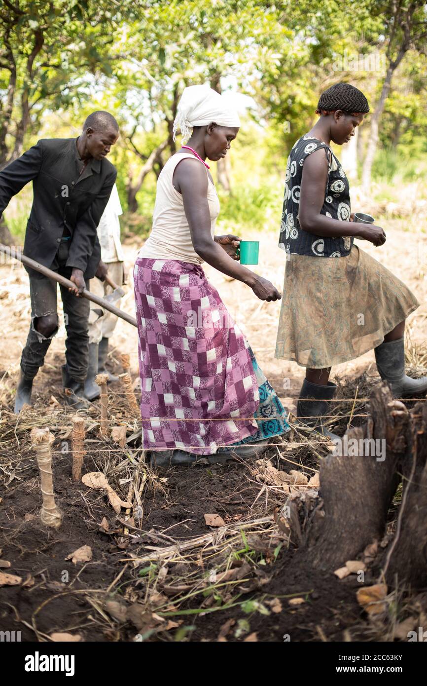 South african field guide hi-res stock photography and images - Alamy