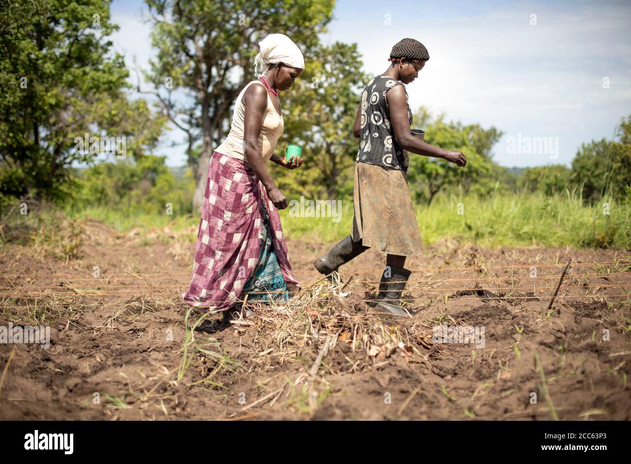 African field guide hi-res stock photography and images - Alamy